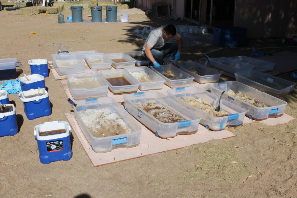 DOJ Agents Wipe Out Mega Meth Lab - California Statewide Law ...