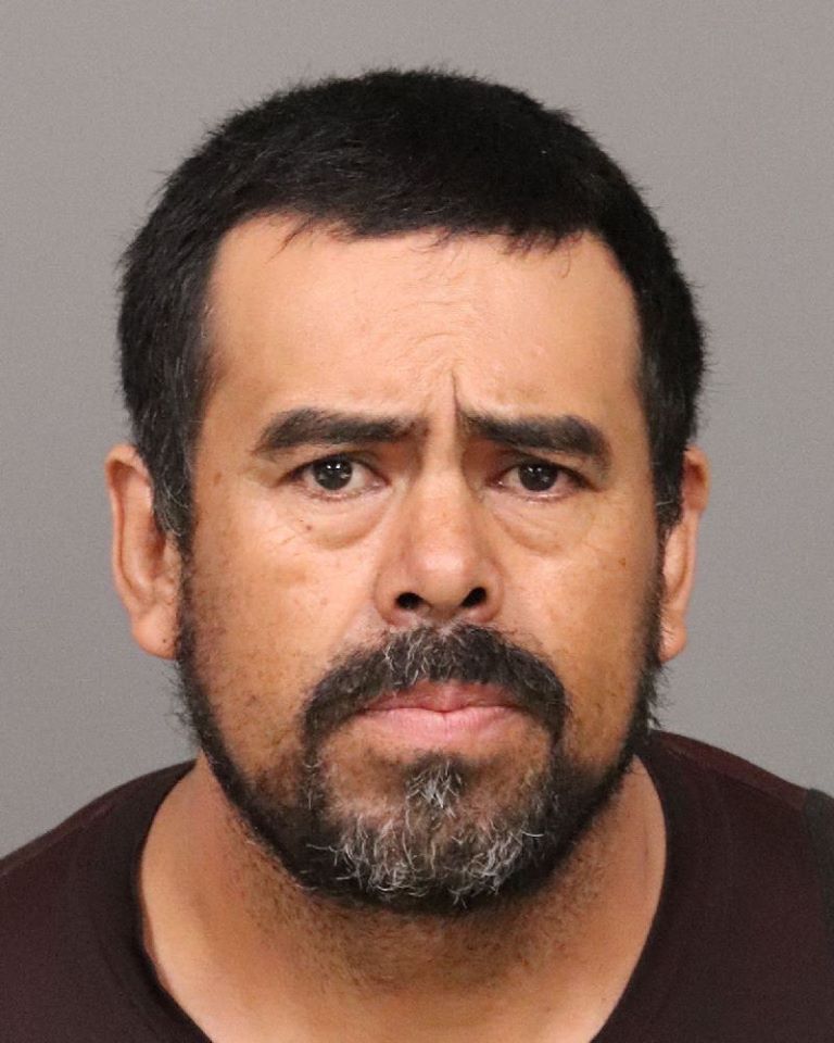 State Agents, Wardens & Investigators Assist with Illegal Cannabis ...