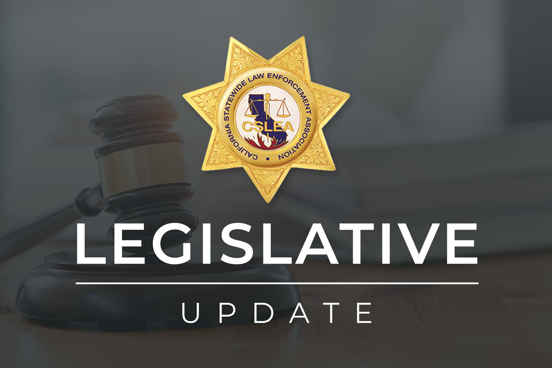 Legislative Update - March 14, 2025 - California Statewide Law Enforcement Association