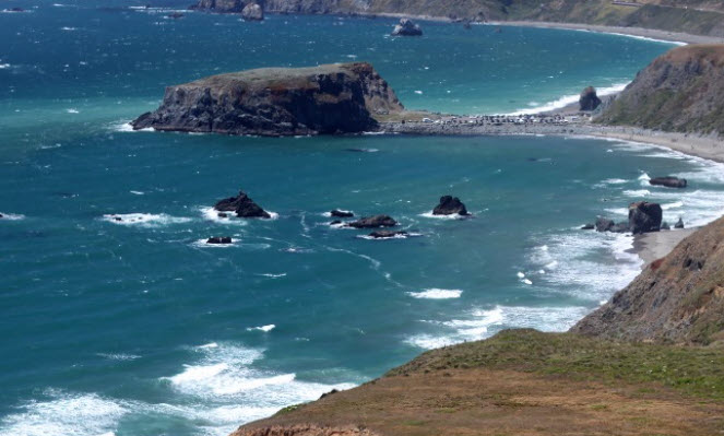 Husband and Wife Plead to Charges for Operating an Illegal Fish ...